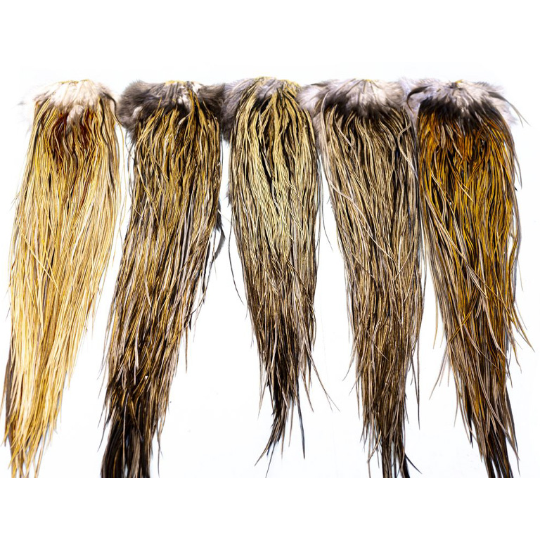 Whitting Heritage Hackle Saddle - Funky Fly Tying